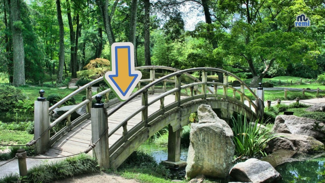 DECODER VIDEO [USE THIS!]