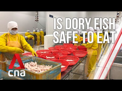 The truth behind dory fish | Undercover Asia | Full Episode