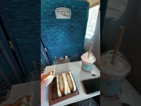 東海道新幹線 品川-浜松2023.7.14 (Road to ap bank fes’23)
