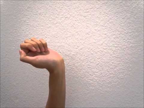 Home Exercise Program: Carpal Tunnel Syndrome