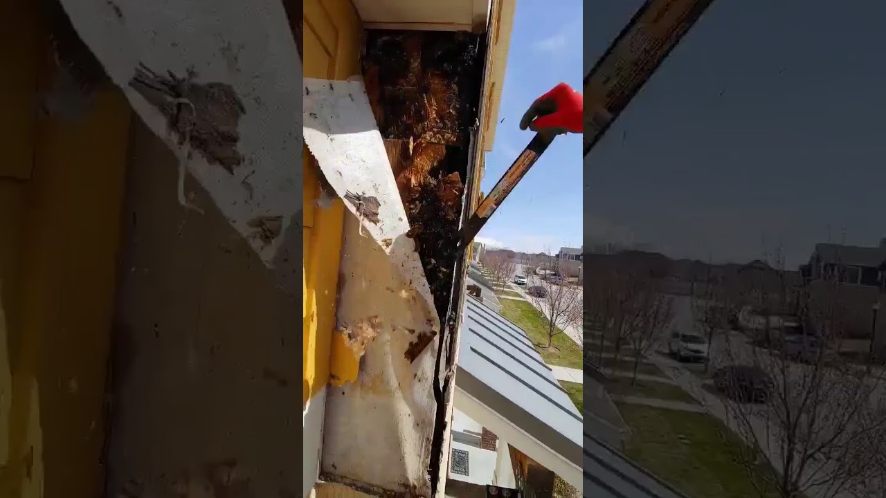 Rosecrest Condominiums damage (Herriman, UT)