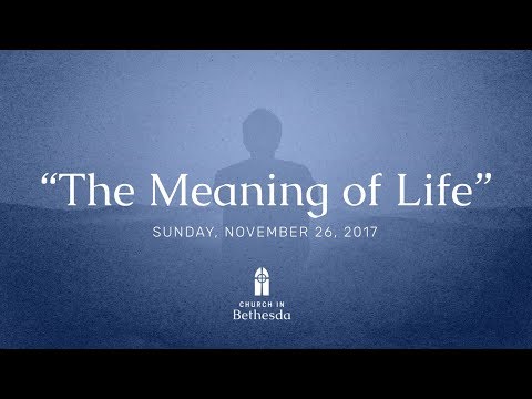 "The Meaning Of Life" by Ryan Phipps