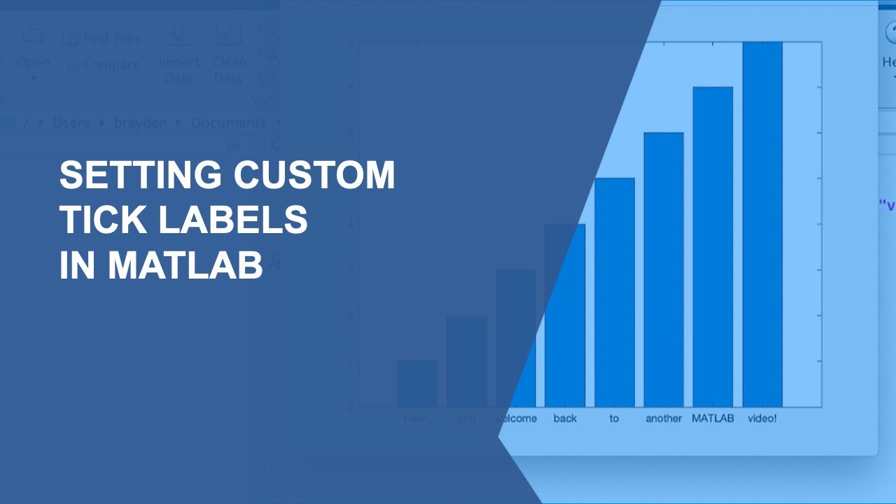 Setting Custom Tick Labels on Plots in MATLAB