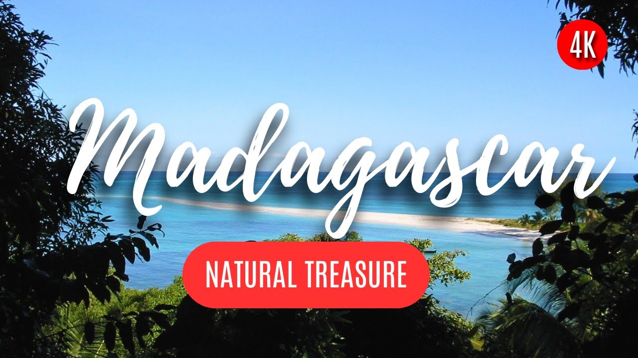 Masoala National Park : Madagascar's Natural Treasure  🌿🏝️
