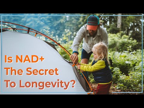 Is NAD+ The Secret To Longevity? What Are Sirtuins?