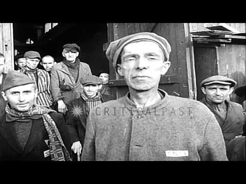 Numbers tattooed on bodies of men at the concentration camp in Buchenwald, German...HD Stock Footage