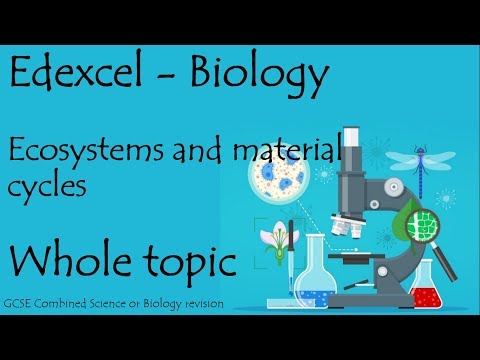 The whole of ECOSYSTEMS. Edexcel 9-1 GCSE Biology or combined science revision paper 2