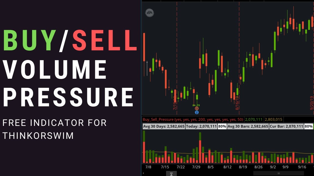 Volume Buy and Sell Pressure Indicator for ThinkorSwim