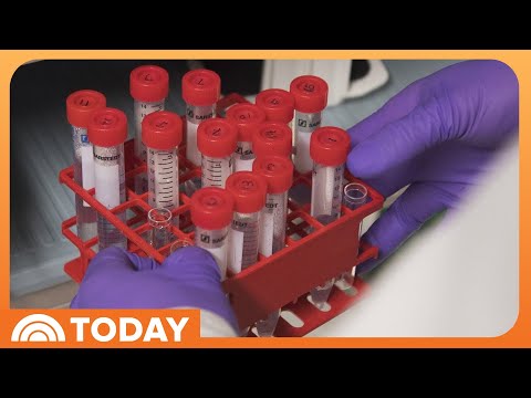 New study shows how effective immunotherapy is at battling cancer