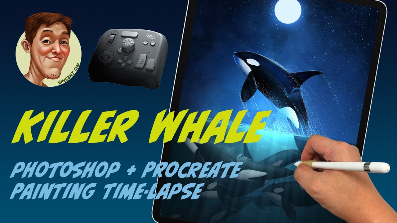 Digital Art Killer whale | Procreate