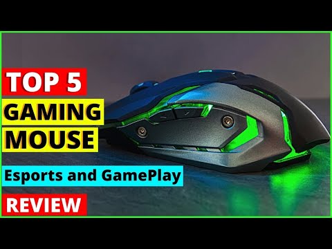 Top 5 Best Gaming Mouse for Esports and Competitive Play 2023 [Review and Buying Guide]