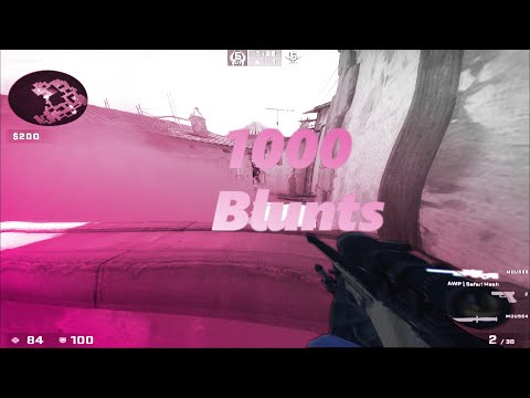 Steam Community :: Video :: 1000 Blunts 🥦 | Fubicz