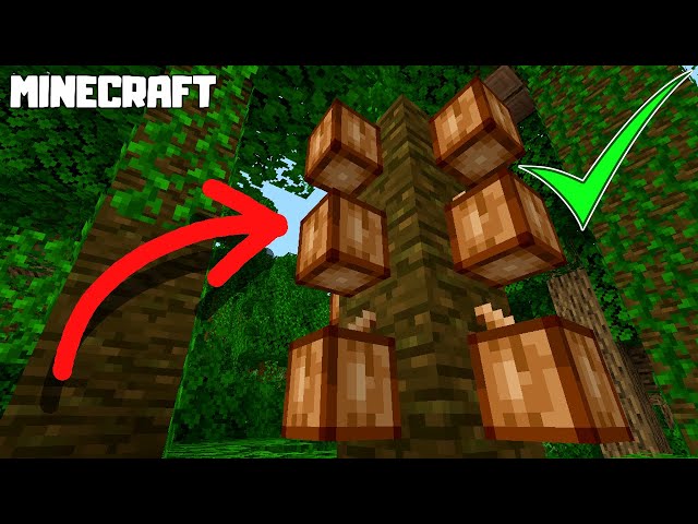 3 things you didn't know about cocoa beans in Minecraft