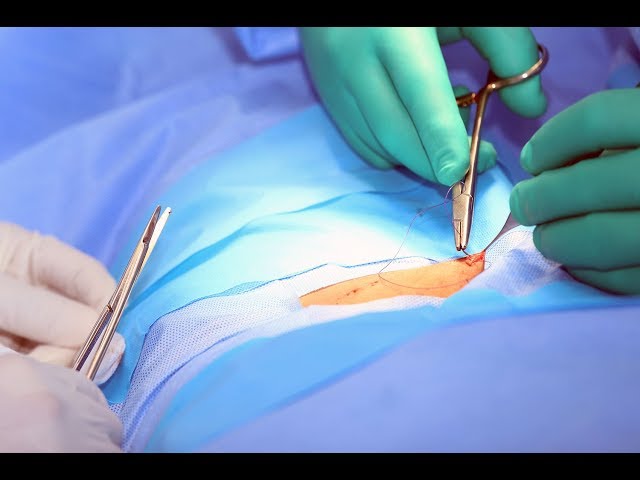 Suture Kit for Kids & Students | How to Suture Wounds Course & Kit