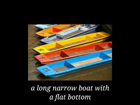 Punt meaning pinned comment
