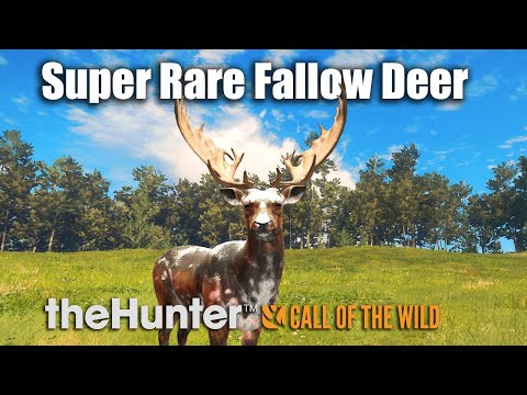 Steam Community :: Video :: Super Rare Diamond Piebald Fallow Deer ...