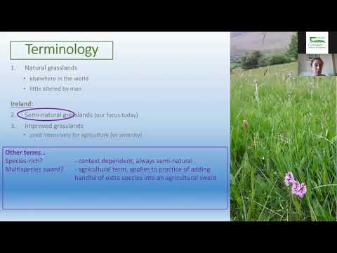 The Signpost Series - Semi-natural grasslands in Ireland - precious resources under threat