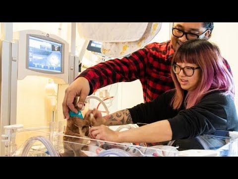 Baby Mayari | CPMC Van Ness Campus