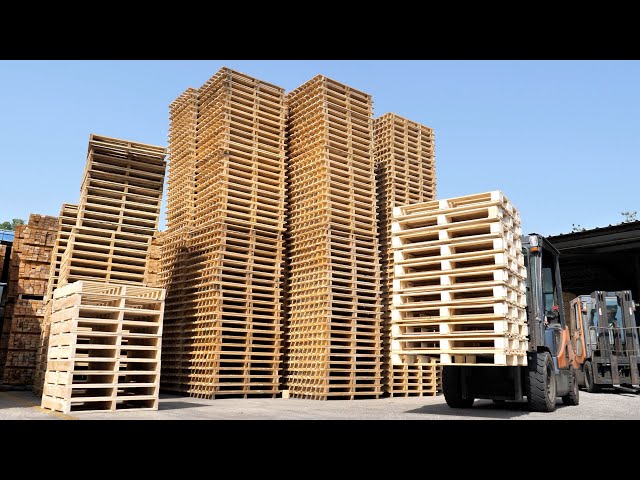 Two Way Wooden Pallets - Single Deck Wooden Pallet Manufacturer from ...