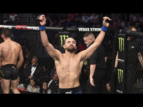 Fight Island 4: Fighters You Should Know | PoGo Portal