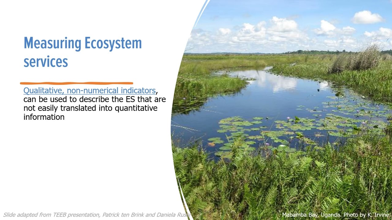 Lecture 2.3: Ecosystem Services (Quantification)