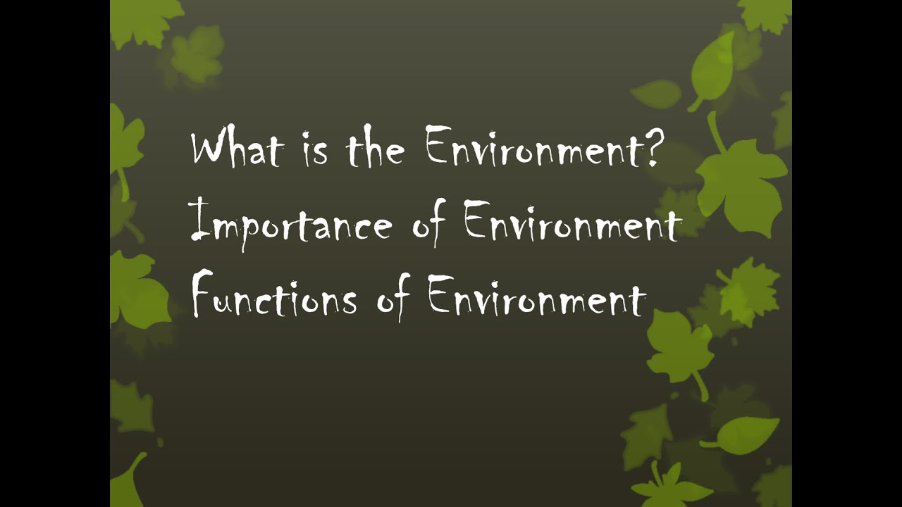 What is the Environment?|Importance of Environment|Functions of Environment