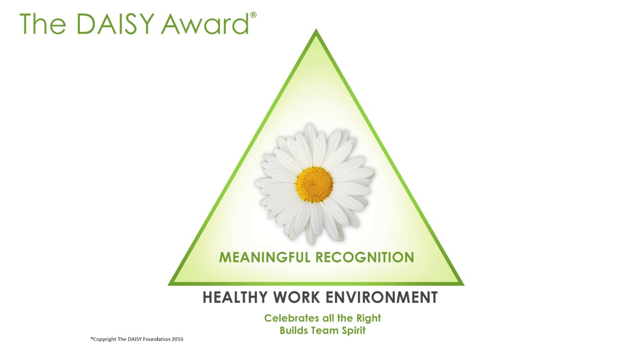 The DAISY Foundation Model