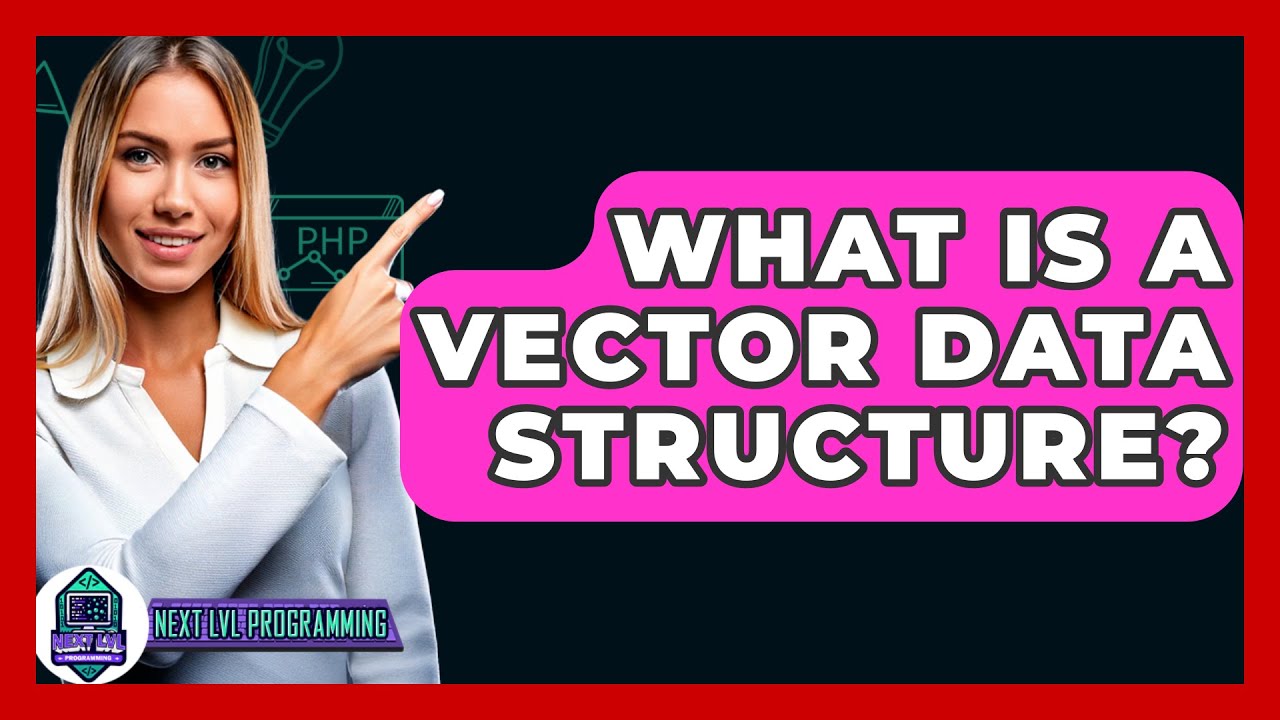 What Is A Vector Data Structure? - Next LVL Programming