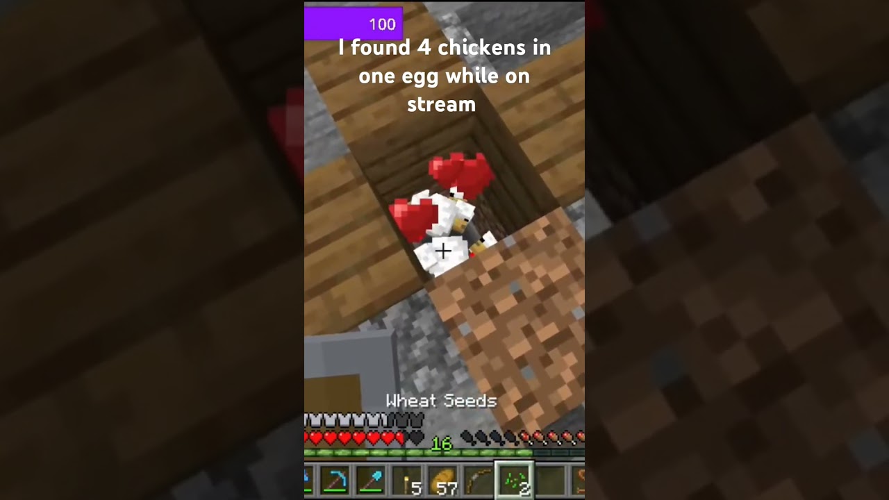 i found 4 chickens in one egg while on stream