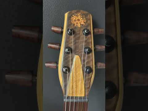 Ray Vincent Shell back guitar 2023 - Shellac and oil | Reverb