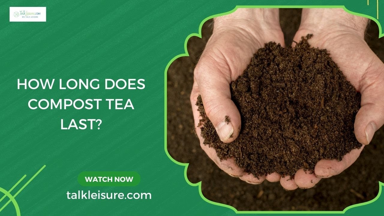 How long does compost tea last