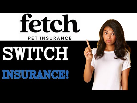 Fetch Pet Insurance Review Should You Switch To This Insurance (2025)