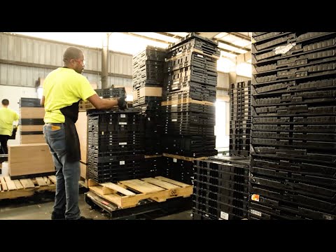 Streamline Your Supply Chain: Labor Management Solutions
