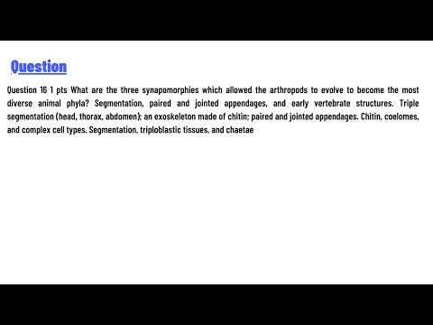 What are the three synapomorphies which allowed the arthropods to evolve to become the most diverse?