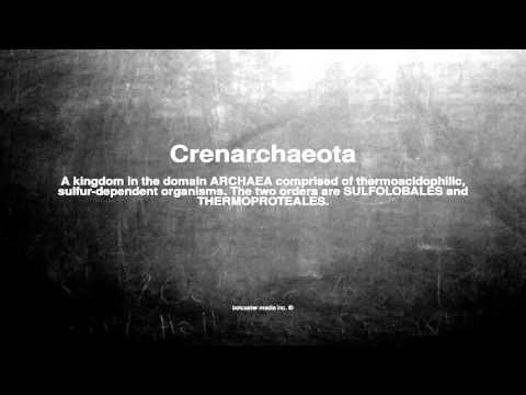 Medical vocabulary: What does Crenarchaeota mean