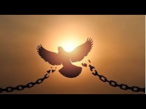 Come Out in Jesus Name! Full Movie (Come Out in Jesus Name 2023 Full Movie ) Documentary Greg Locke