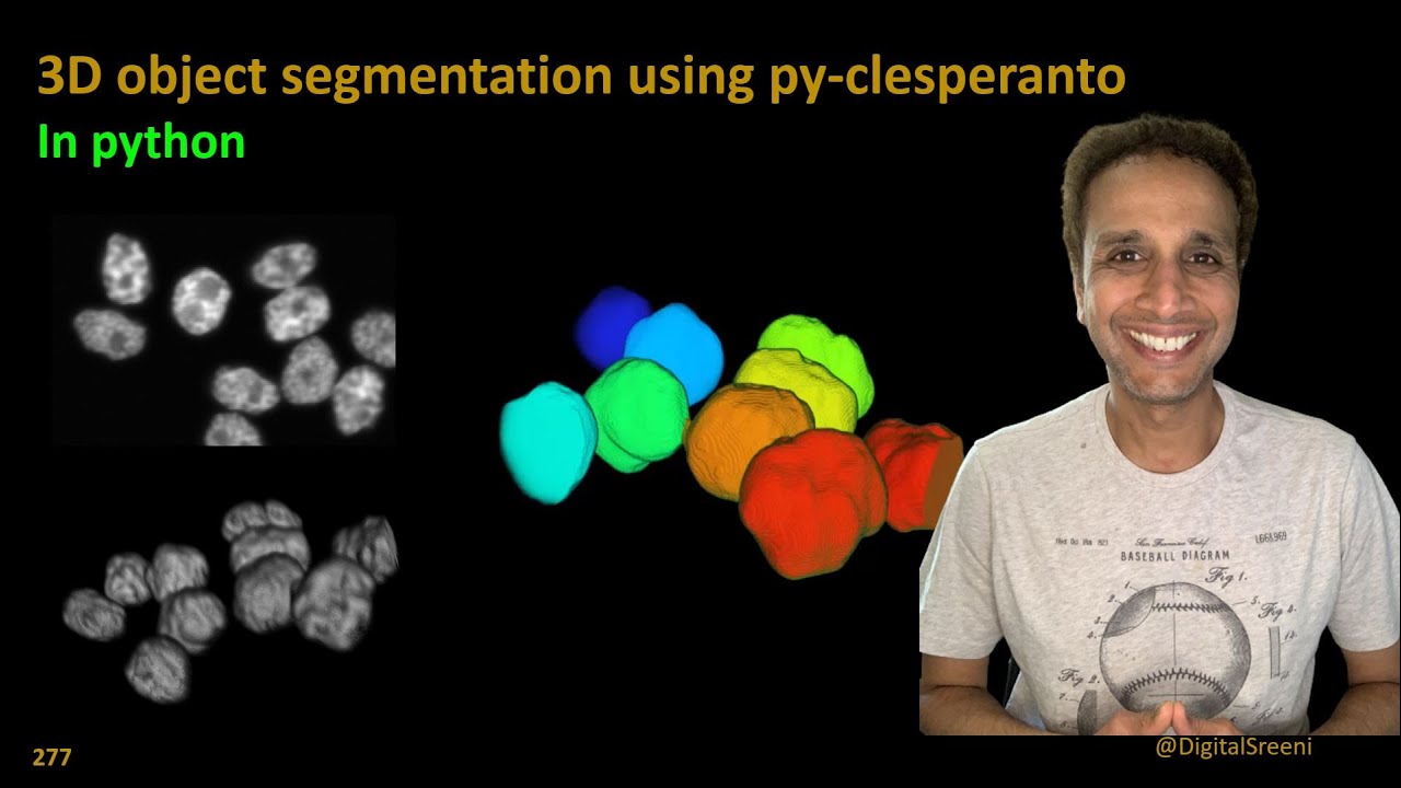 277 - 3D object segmentation in python