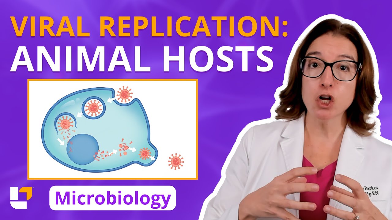 Viral Replication in an Animal Host: Microbio Acellular Pre-Nursing / Med Students | @LevelUpRN
