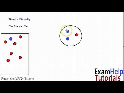 Genetic Diversity - ExamHelp Tutorials