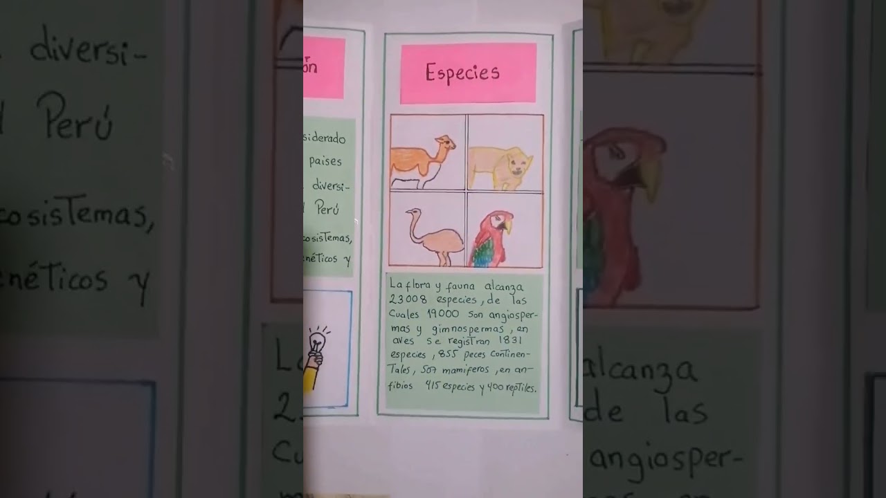 tríptico hecho a mano idea