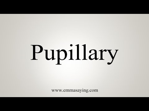 How To Say Pupillary