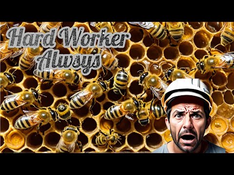 The Dark Secret Behind Worker Bees