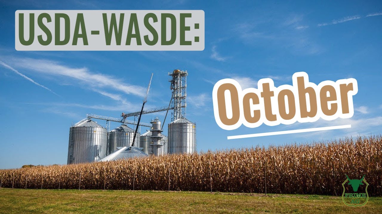 USDA WASDE Report | October 2022