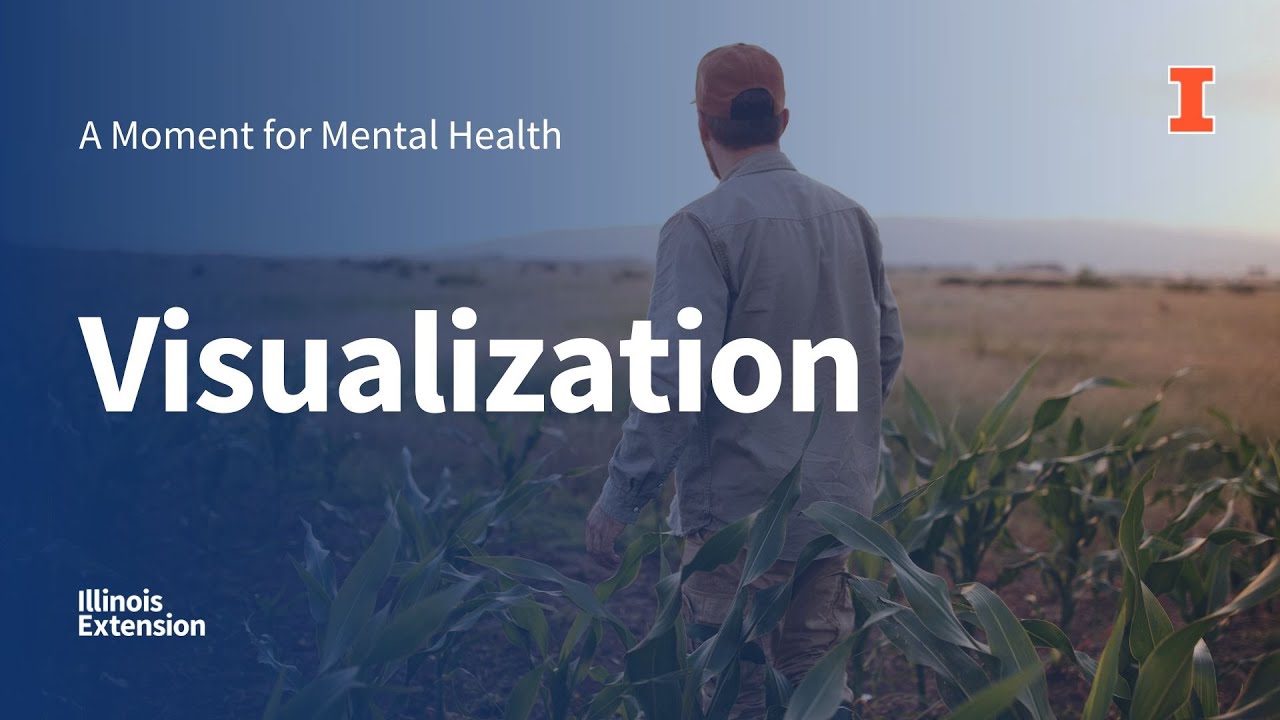 Visualization: A Moment for Mental Health