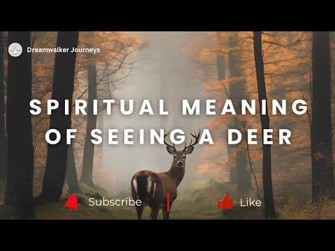 Spiritual Meaning Of Seeing a Deer | Deer Symbolism