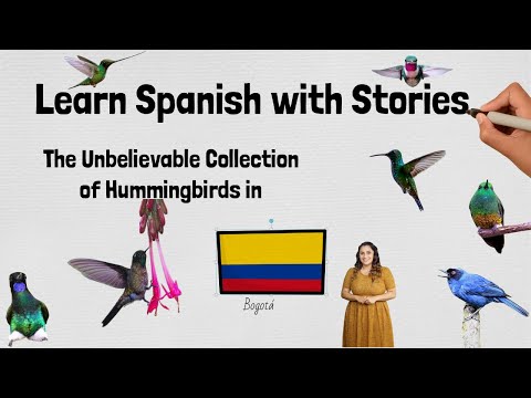 The Unbelievable Collection of Hummingbirds in Bogotá, Colombia. Comprehensible Input in Spanish.