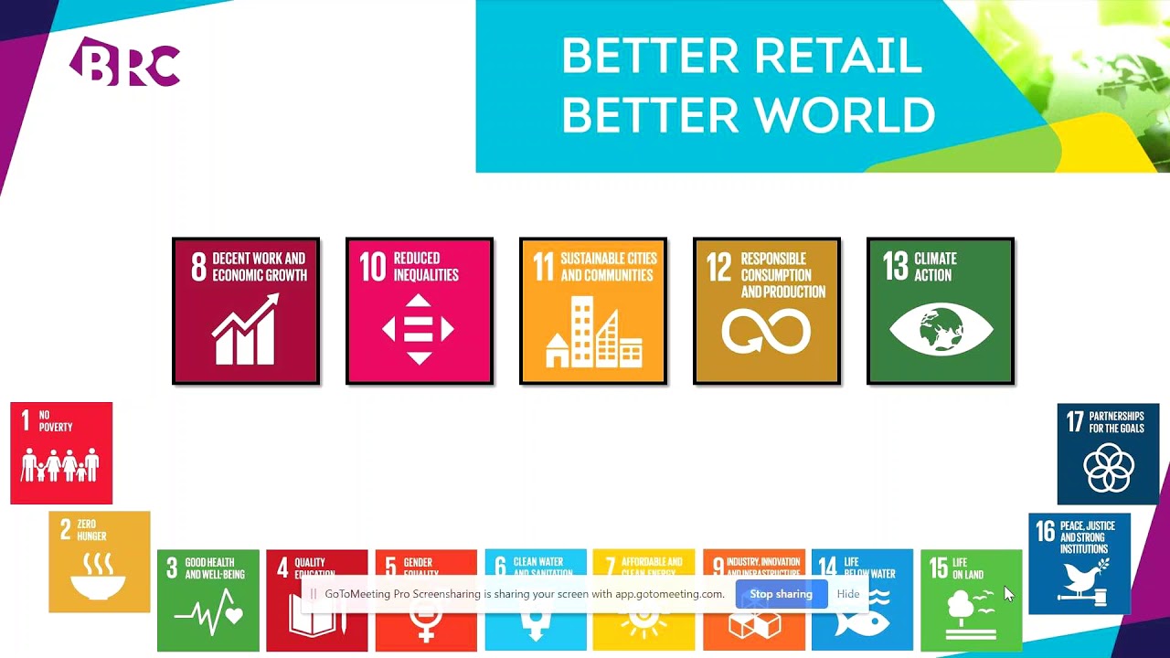 Webinar - The Sustainable Development Goals in Action: Better Retail Better World