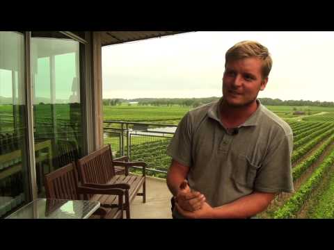 Career Profile: Vineyard Manager
