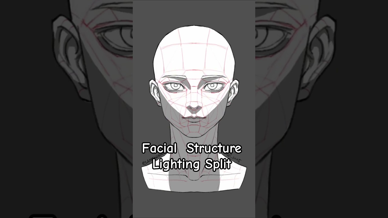 Front Lighting Split with Facial Structure | How to light a Anime Man #laorendraws #chiaroscuro