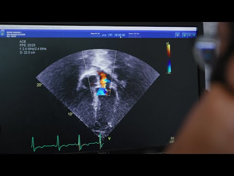 University of Florida Cardiology Fellowship Program